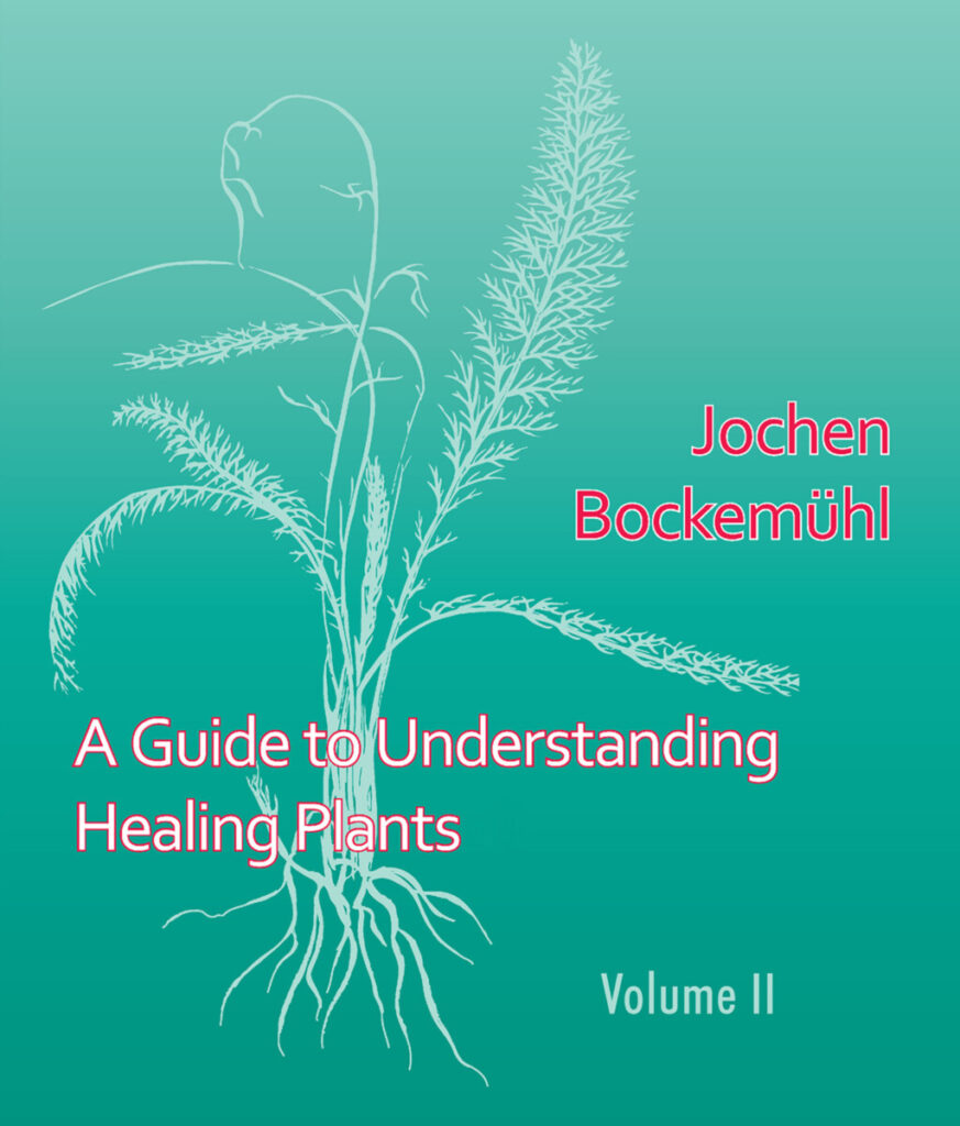 A Guide to Understanding Healing Plants (Vol. II)