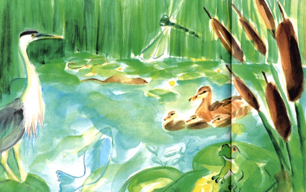 Louis' Farm Children's Magazine